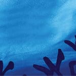 Legal Net Rewards - Fresh Seafood - Legal Sea Foods