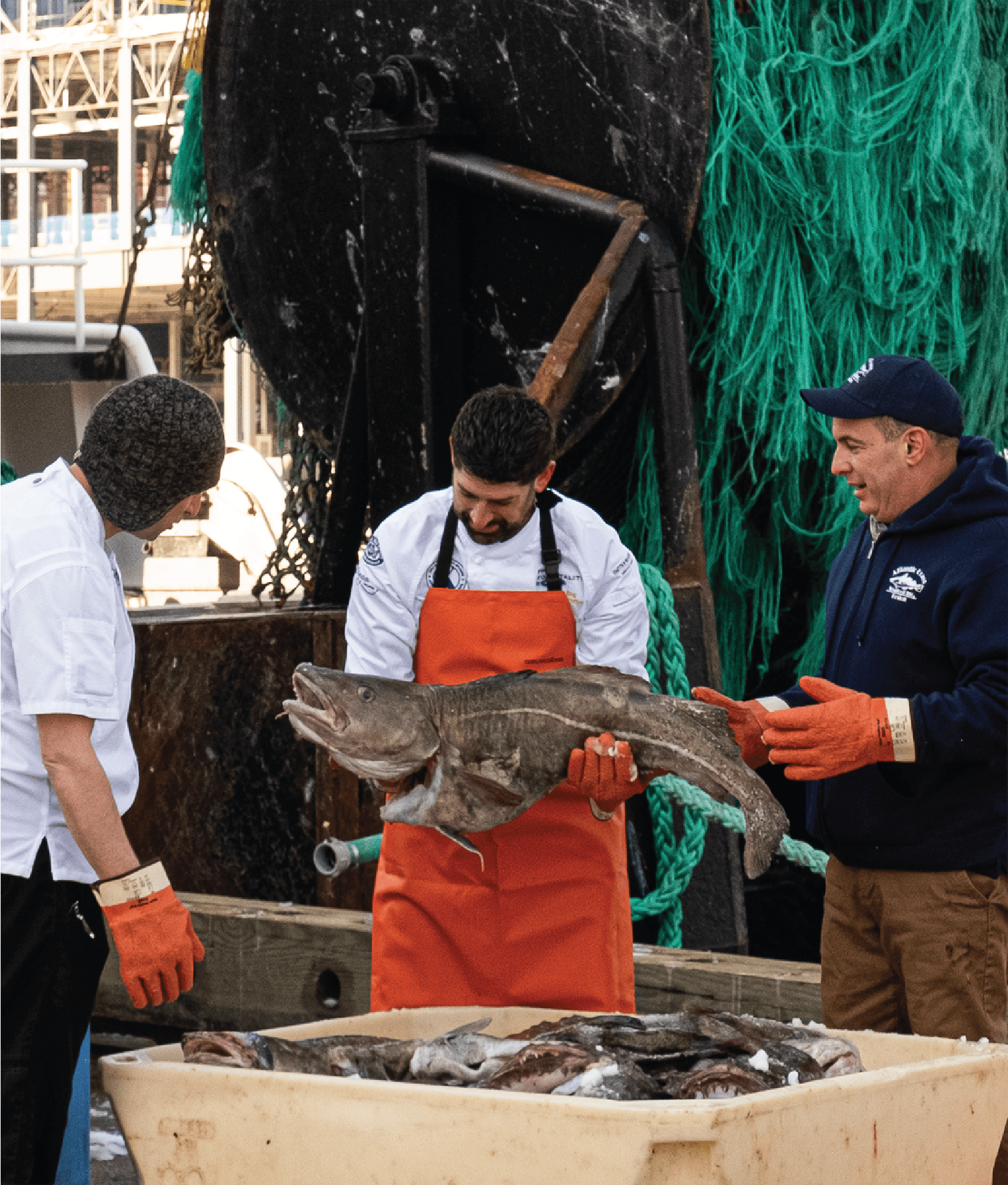Legal Sea Foods - Fresh Seafood Restaurant